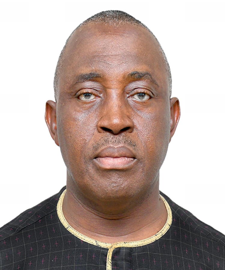 Leadership – OFFICE OF THE SURVEYOR-GENERAL OF THE FEDERATION